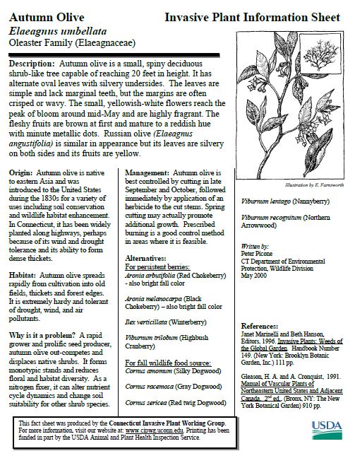 Publications | Connecticut Invasive Plant Working Group