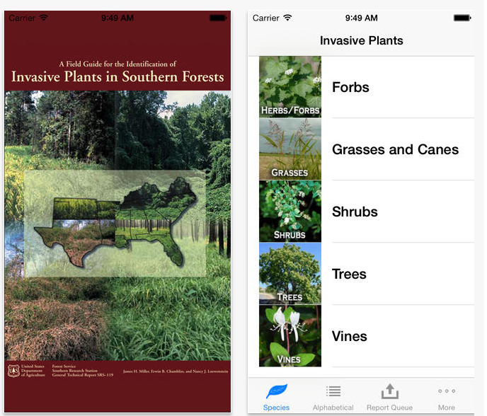 Invasive Mobile Apps | Connecticut Invasive Plant Working Group ...