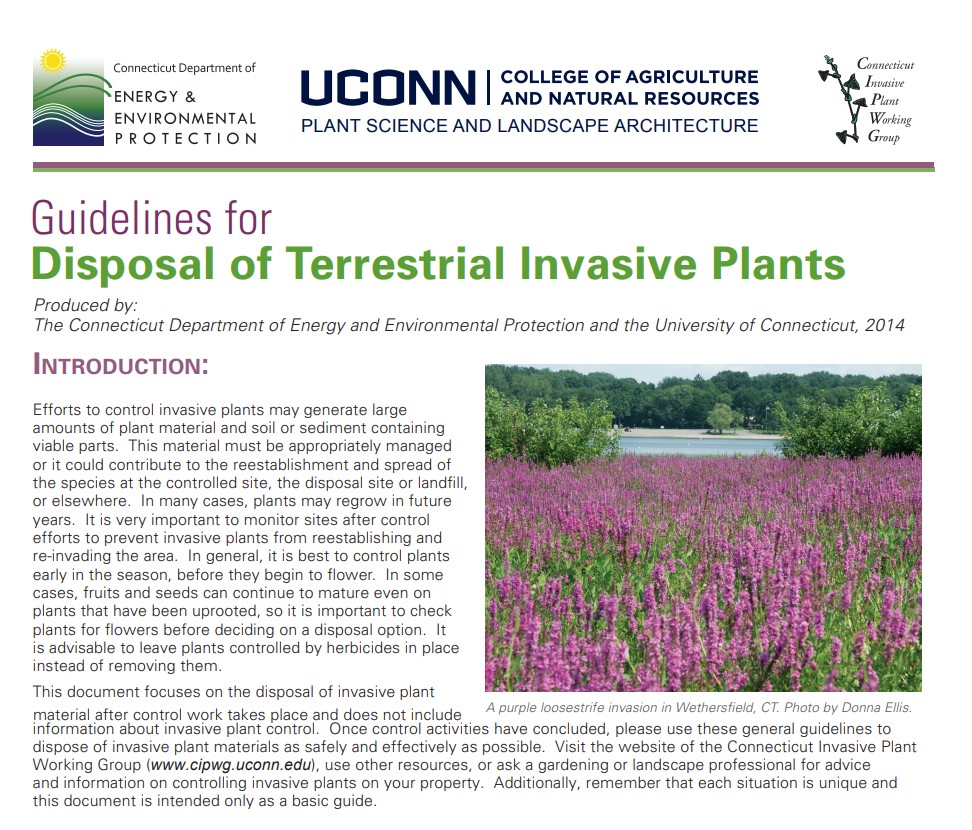 Publications | Connecticut Invasive Plant Working Group | College of ...