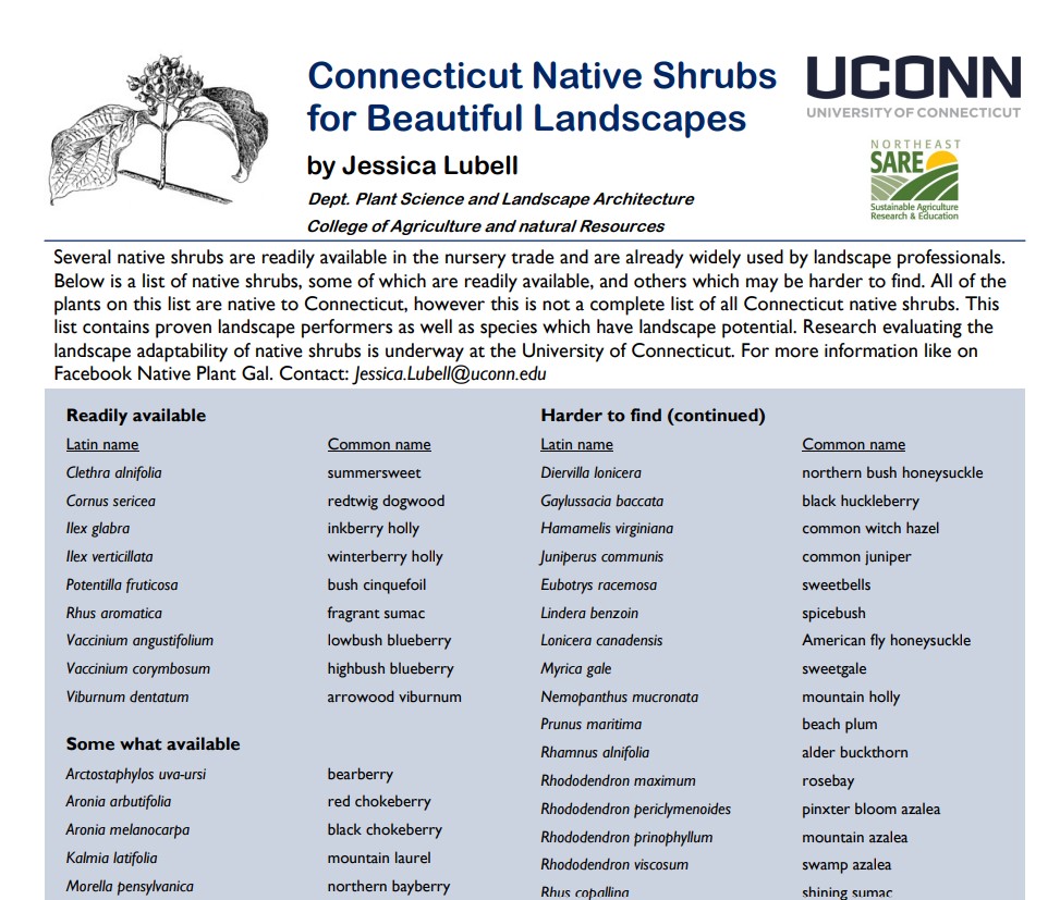 Publications | Connecticut Invasive Plant Working Group | College of ...