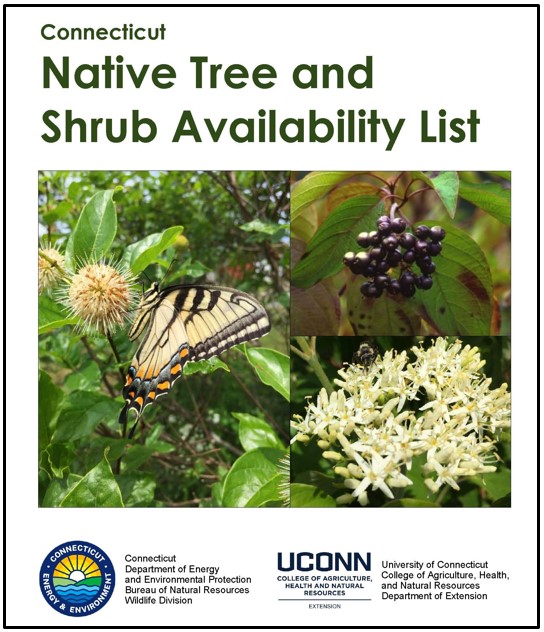 Publications | Connecticut Invasive Plant Working Group | College of ...